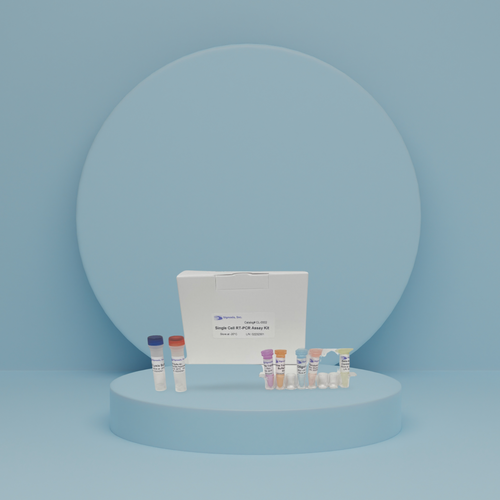 Single Cell RT-PCR Assay Kit | Signosis
