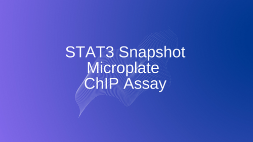 STAT3 Snapshot Microplate ChIP Assay | Signosis