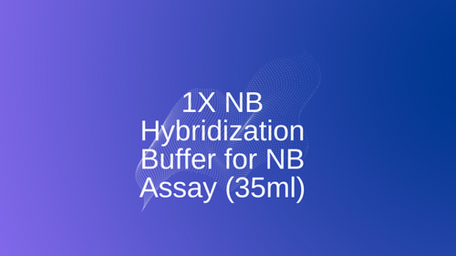 1X NB Hybridization Buffer for NB Assay (35ml) | Signosis