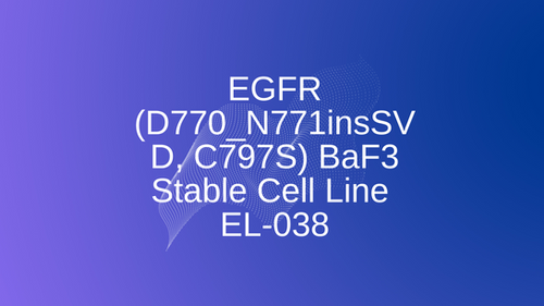 EL-038 EGFR (D770_N771insSVD, C797S) BaF3 Stable Cell Line | Signosis