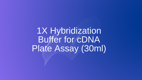 1X Hybridization Buffer for cDNA Plate Assay (30ml) | Signosis