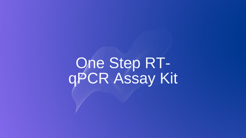 One Step RT-qPCR Assay Kit(Enzyme Included) | Signosis