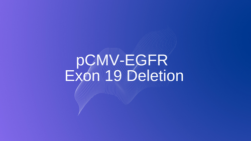 EV-0008 pCMV-EGFR Exon 19 Deletion | Signosis