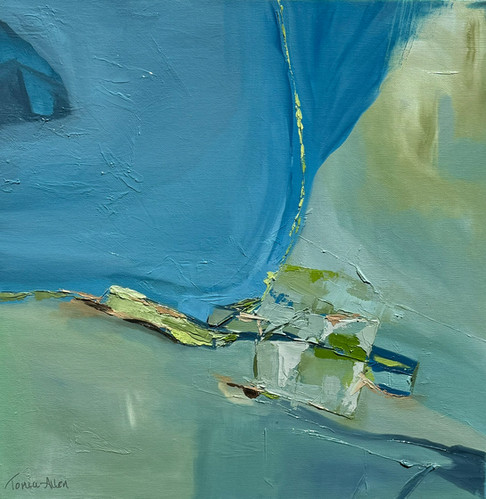 Discovery | Tonia Allen Art