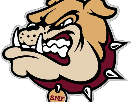 News from the City of Stow, Ohio | Stow Sunshine Project