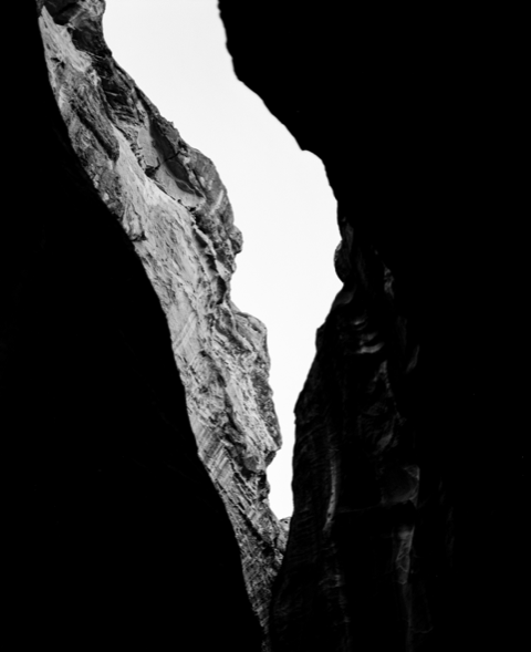 Global Art Projects, Max Pollard, Dreams with Open Eyes, Sofitel Melbourne