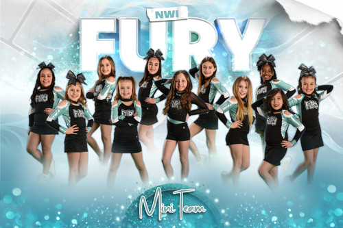 12x18 NWI Fury Team Poster | mysite