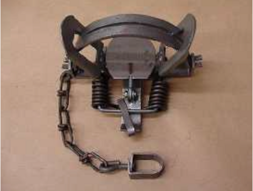 Duke #2 Double Coil Spring Offset Trap | Cumberland Trappers