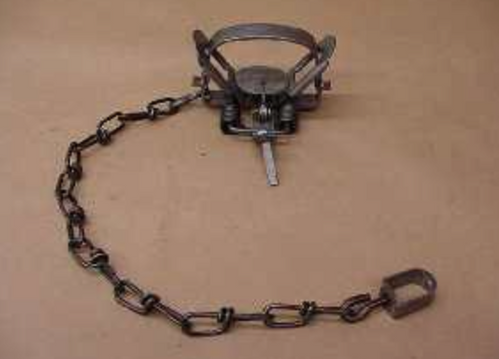 Duke #1 Double Coil Spring Trap | Cumberland Trappers