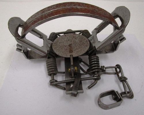 #4 4-coiled, Regular Jaw Trap - Oneida Victor | Cumberland Trappers