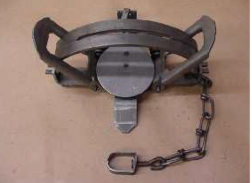 Duke #3 Double Coil Spring Offset | Cumberland Trappers