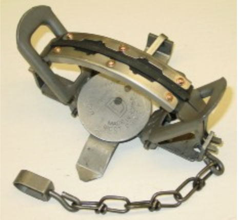 Duke #3 Double Coil Spring with Rubber Jaws | Cumberland Trappers