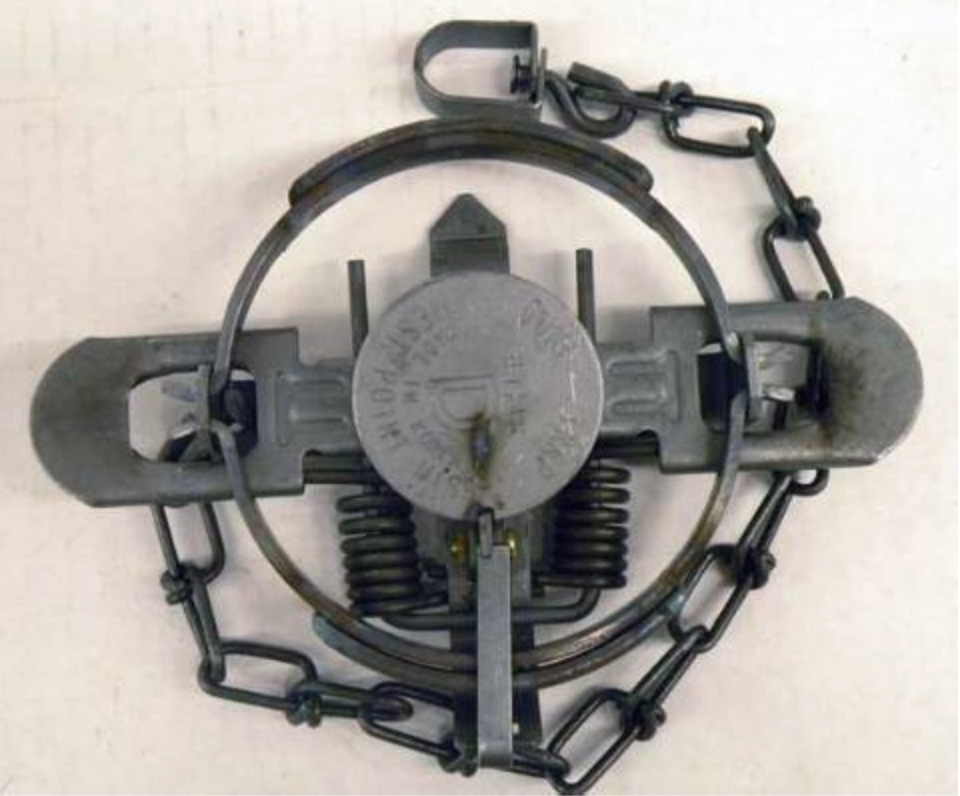 1-1-2-double-coil-spring-duke-trap-with-jaw-lamination-added