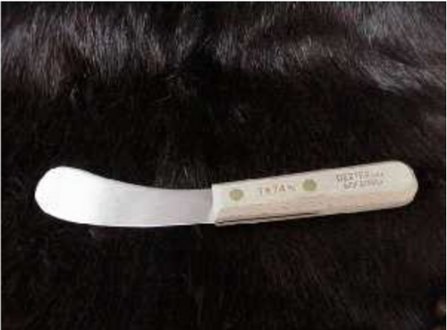 Beaver Skinning and Fleshing Knife | Cumberland Trappers