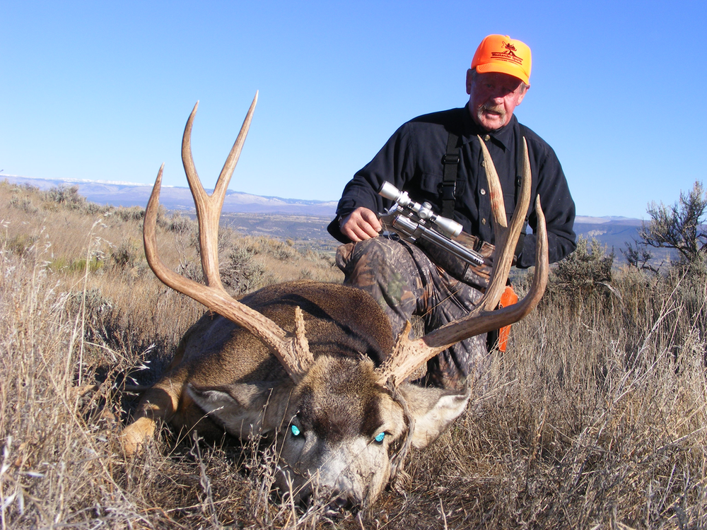 Guided Management Mule Deer Hunt in Colorado