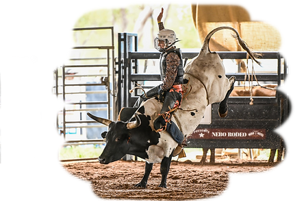 RODEO NOMINATIONS | Central Rodeo Cowboy