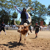2024 CRCA MEMBERSHIP & FORMS | Central Rodeo Cowboy