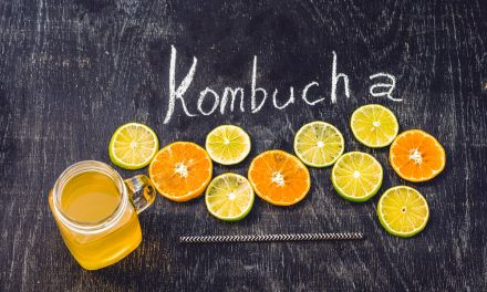Humble Pack (8ct) Tally Kombucha | tallykombucha
