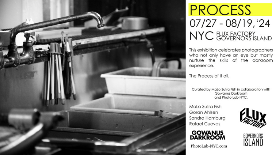 Malo Sutra Fish | PROCESS Exhibition NYC