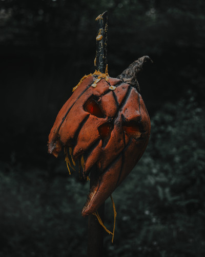 Gored Gourd (2) | Haunted Props