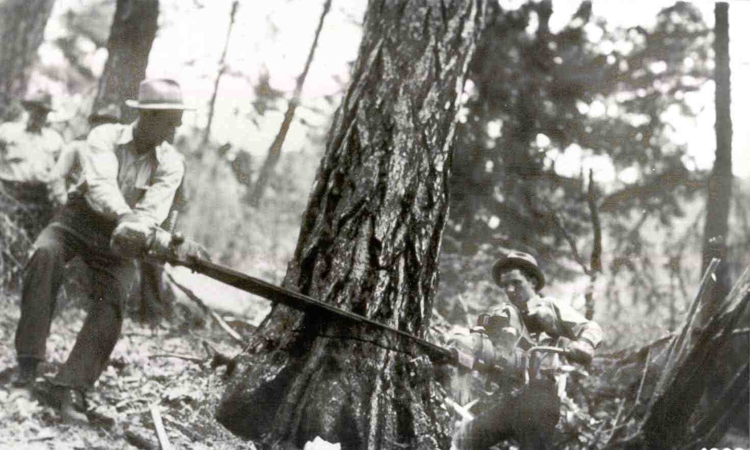 History of Seneca | city-of-seneca