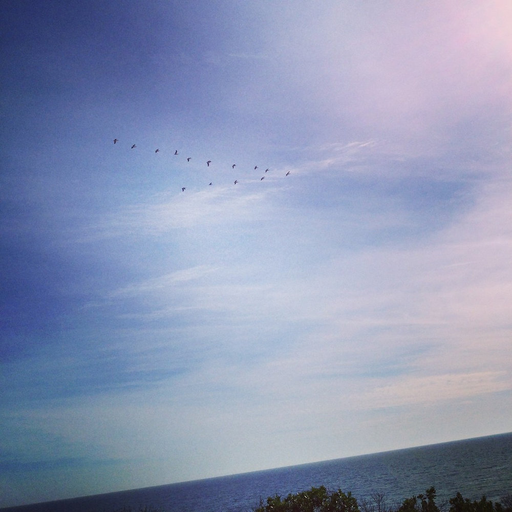 Hallett Cove