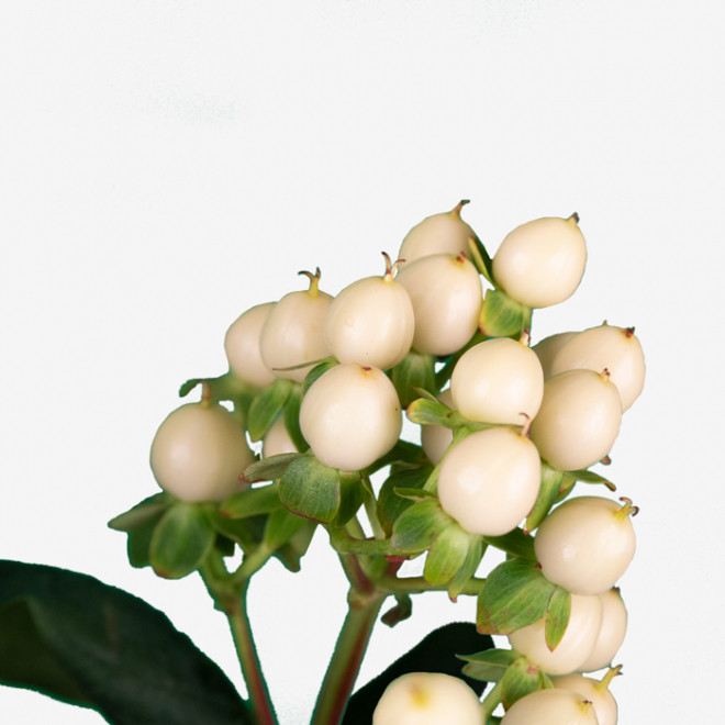 Vidéo DIY : création d'un chandelier fleuri romantique | Cherry Wedding Vidéo DIY : création d'un chandelier fleuri romantique | Cherry Wedding