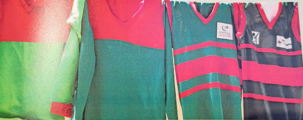 Its more than a game: a history of the Ashy Redbacks Junior Football Club