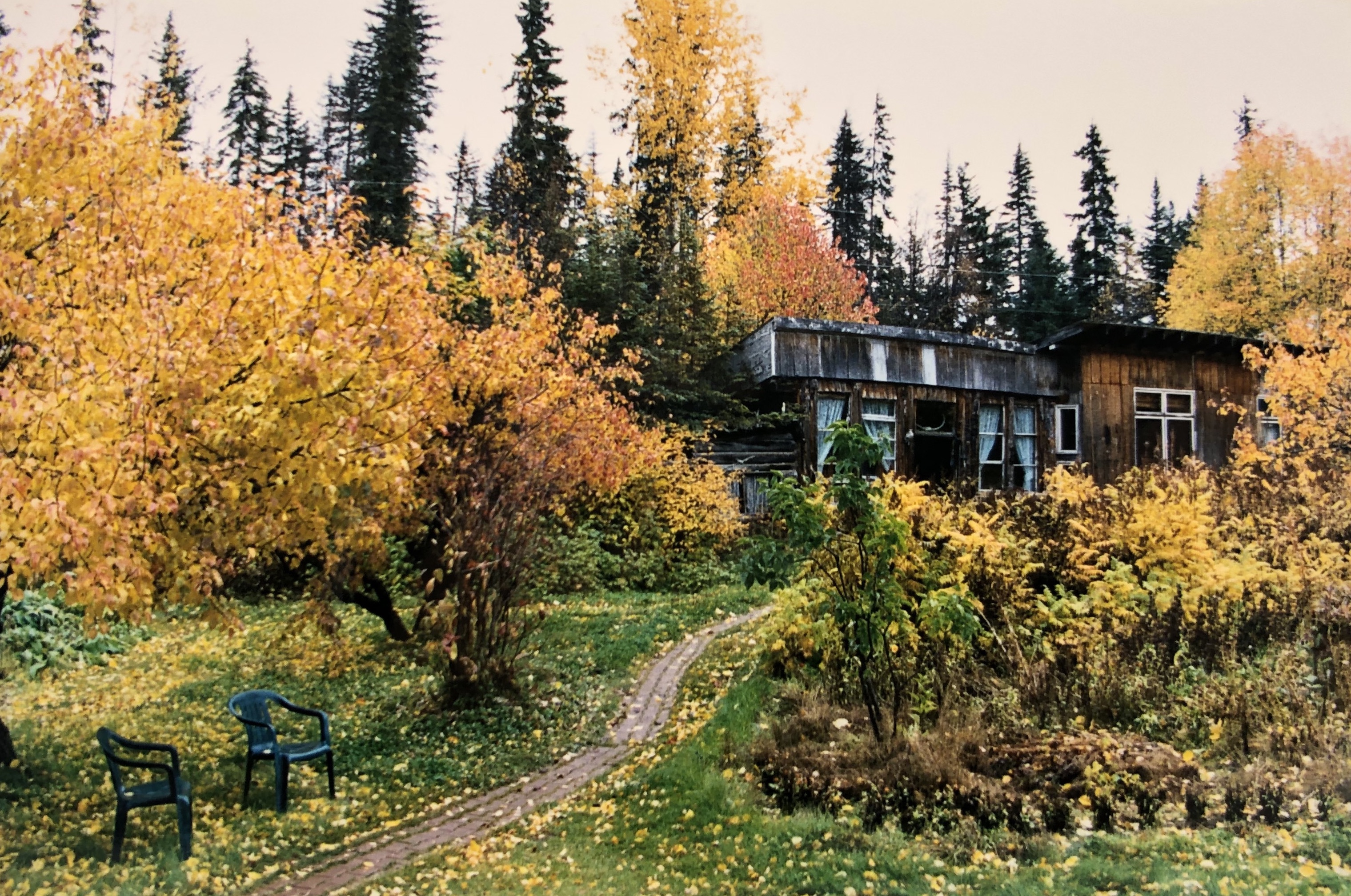 Homestead Paths | The Norman Lowell Art Gallery Foundation