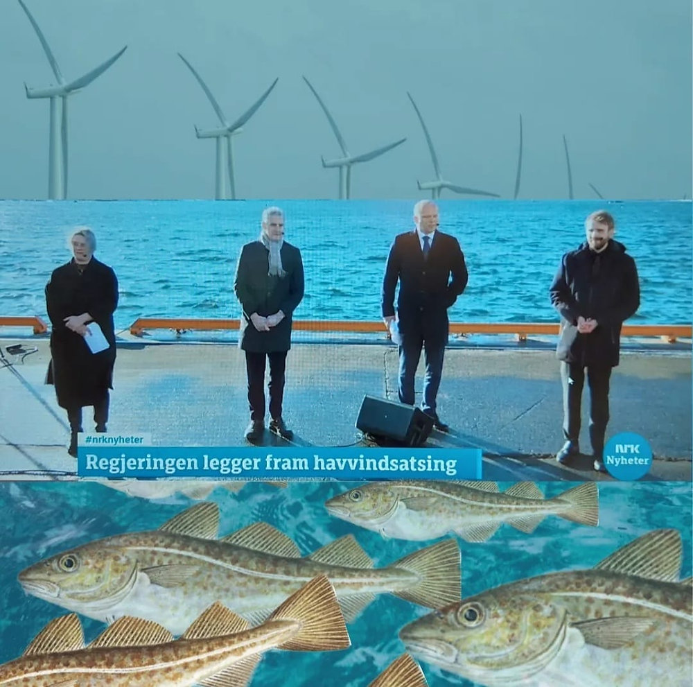 Motvind Norge sier nei til havvind