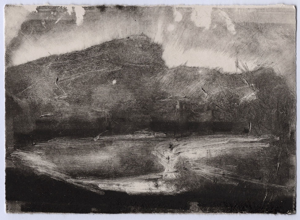 From the storm | David Begley