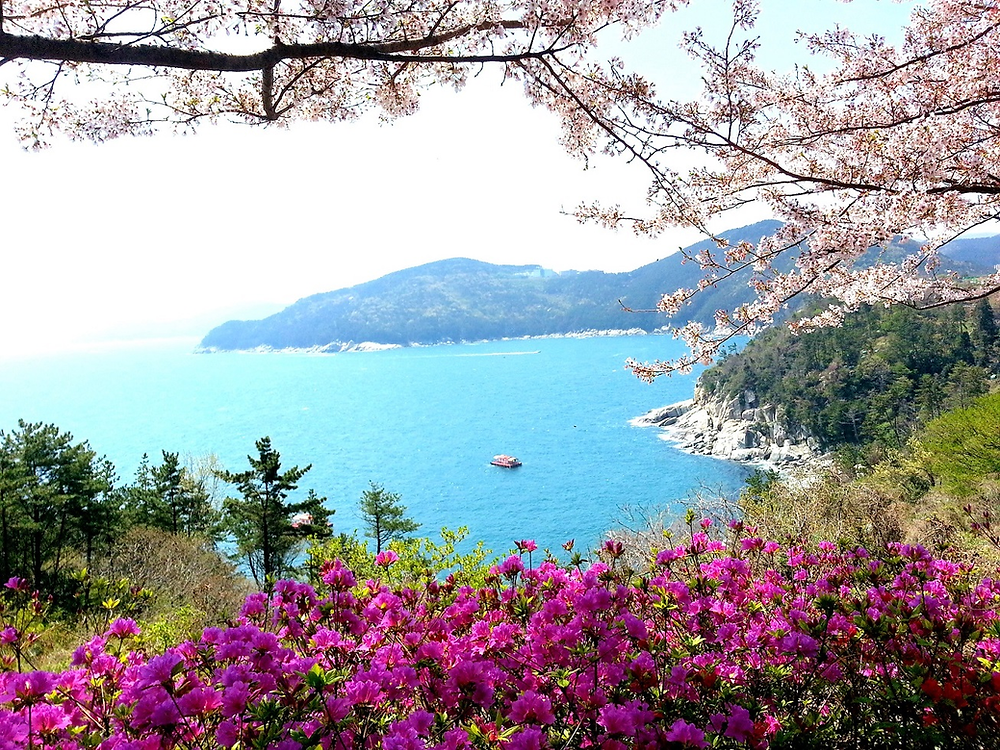 3 Islands You Must Visit On Your Next Trip To South Korea