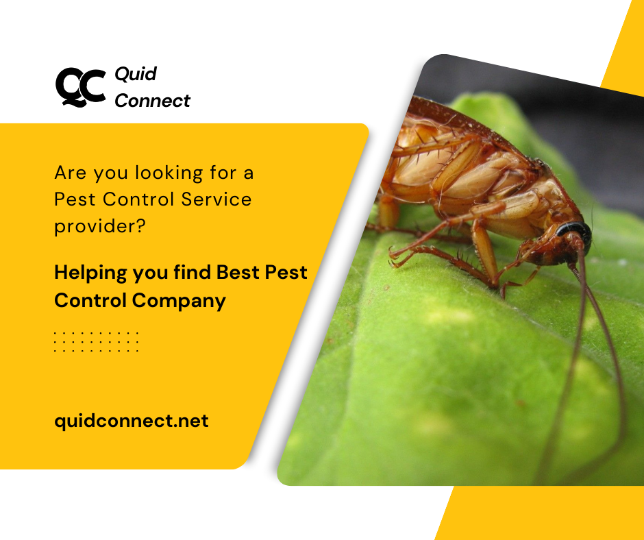 Top Pest Control Services Providers at Sangamner | Quid Connect