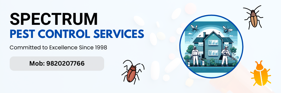 Spectrum Pest Control | Termite Treatment - Top Pest Control Services ...