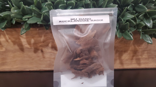MU XIANG AUCKLANDIAE RADIX | Natures Hand & Touch
