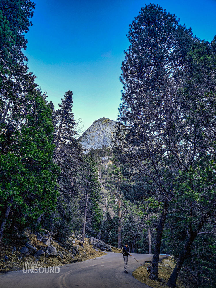 Idyllwild California: the Colorado of Southern California?