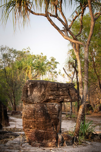 C rock | The Radiant North