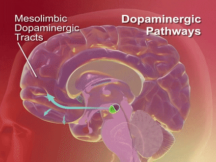 Why Stress Worsens Parkinson's: New Dopamine Pathway Discovered