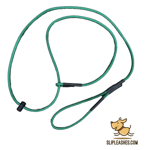 Kelly Green Slip Leash | SlipLeashes.com