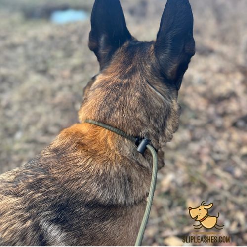 Kirby K9 8ft Hiking Leash | SlipLeashes.com