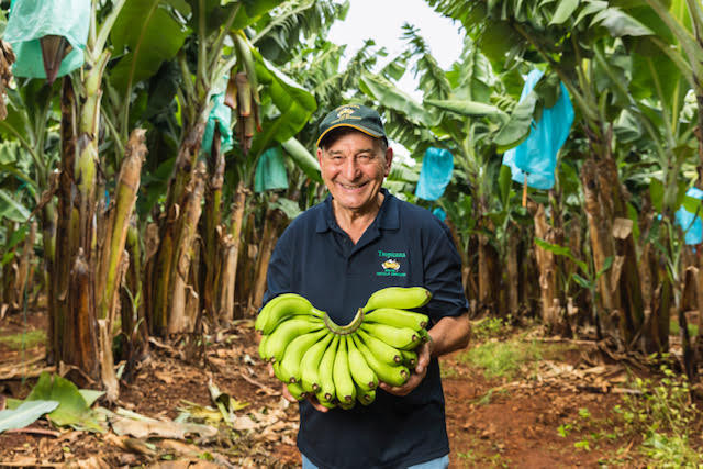 Contact | Tropicana Banana