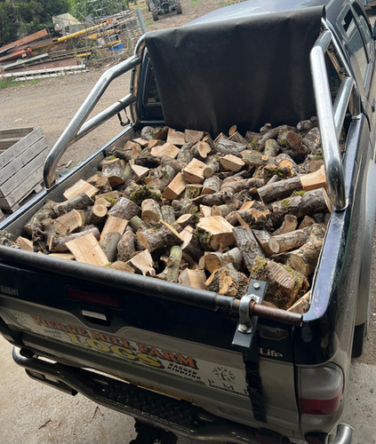 Apple Logs - Small Load