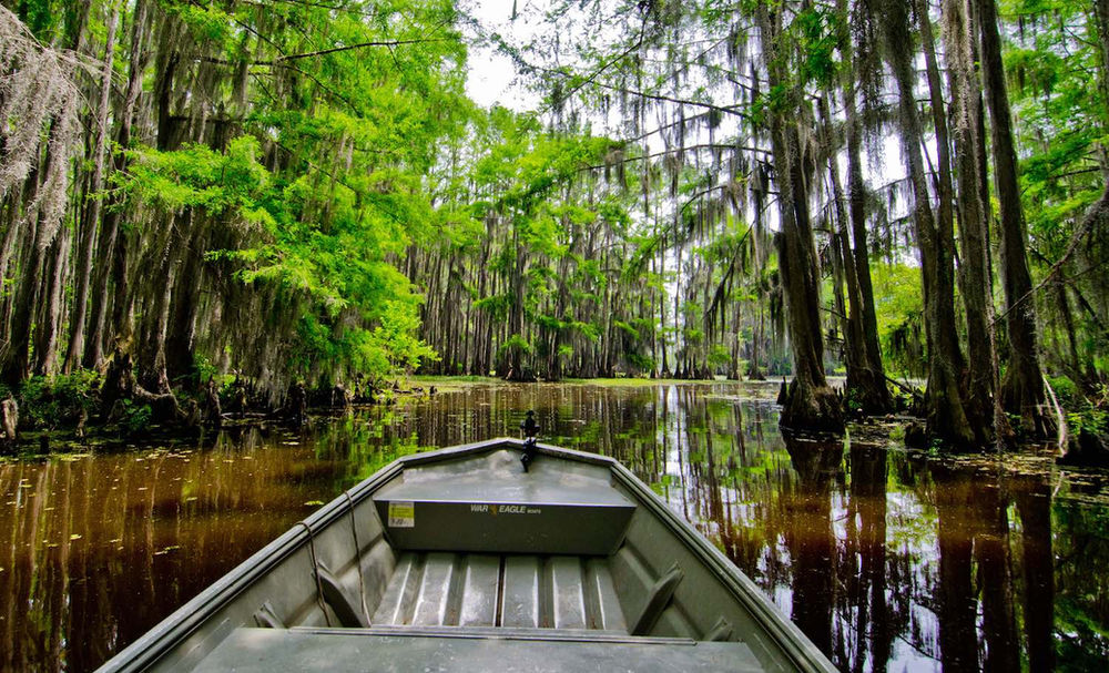 Diving into the Heart of Bayou Country: Louisiana's Eclectic Cajun Culture