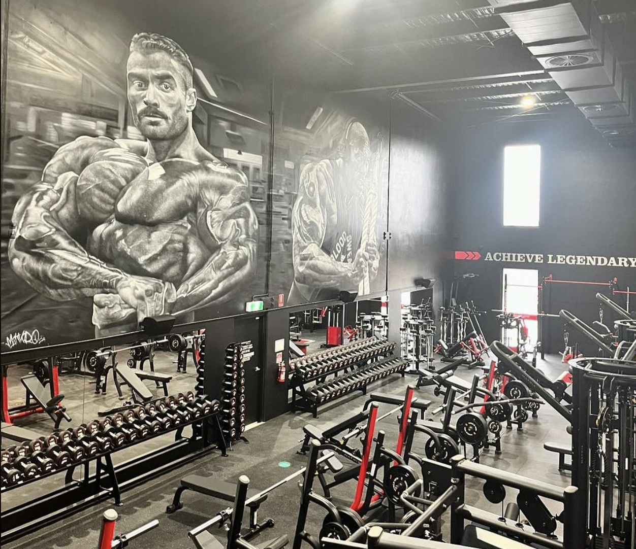 U.S. Fitness and Gym Industry Report (2025–2030 Outlook)