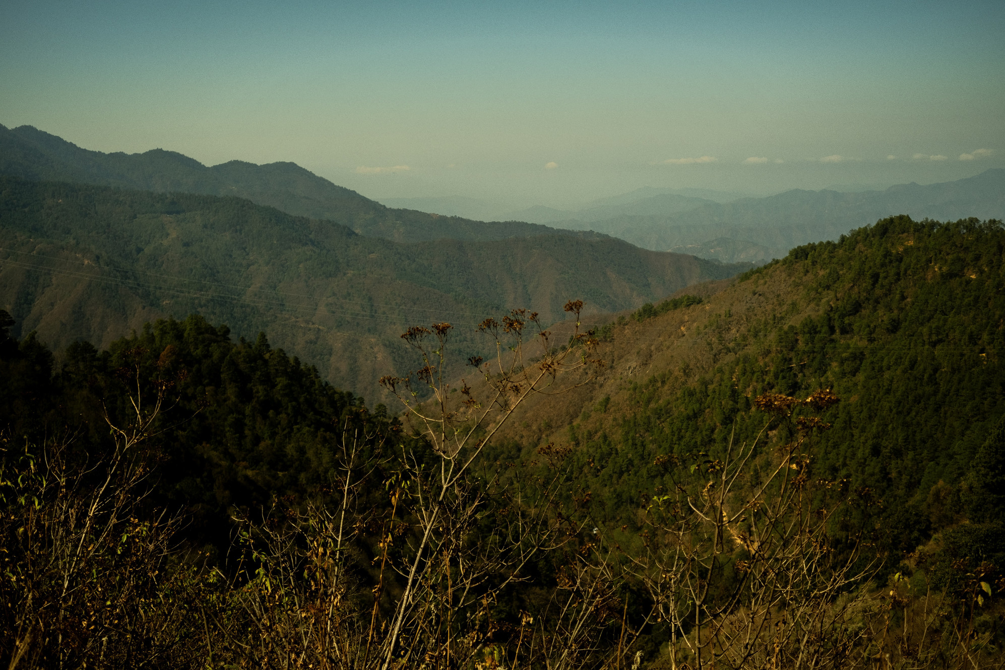 Allie Steward Photography | INDEX