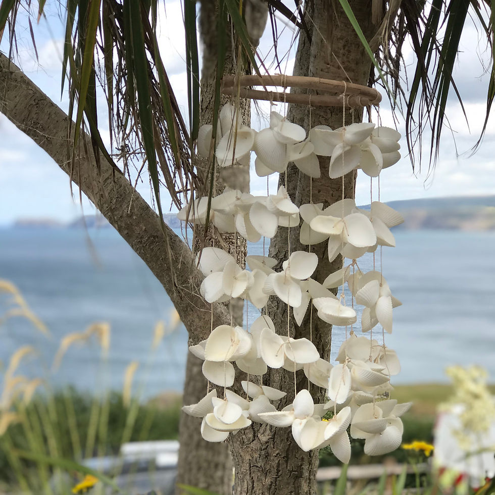 CLAM SHELL MOBILE | Coastal Lifestyle Co