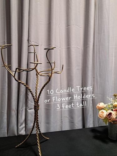 10 candle trees | Knotting Hill