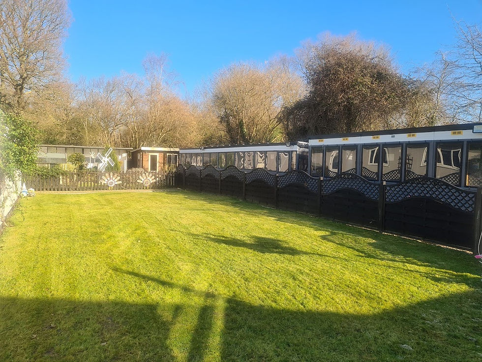 Boarding | The Friendly Cattery | Rochford
