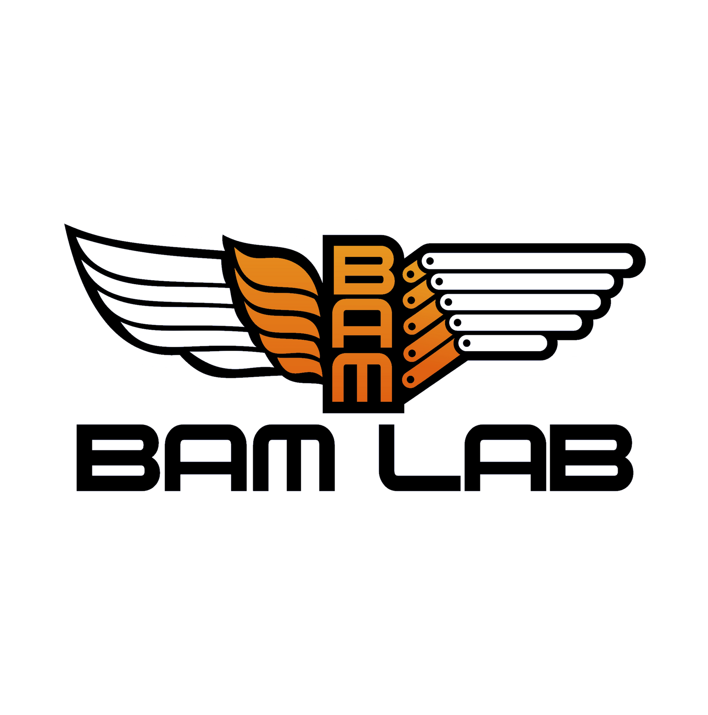 BAM Lab Moves to Princeton University | BAM Lab