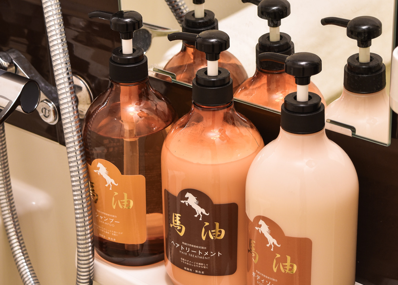 Hotel Alexander Group | Tourism | 日本